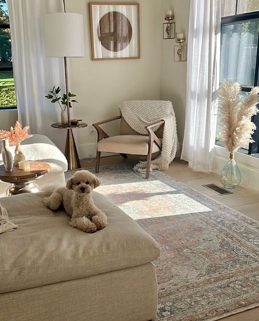 Best Sellers – The Rug Collective™